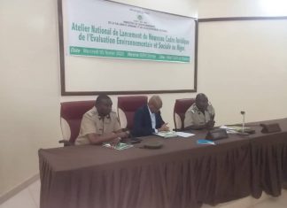 Accueil BNEE Niger - BNEE