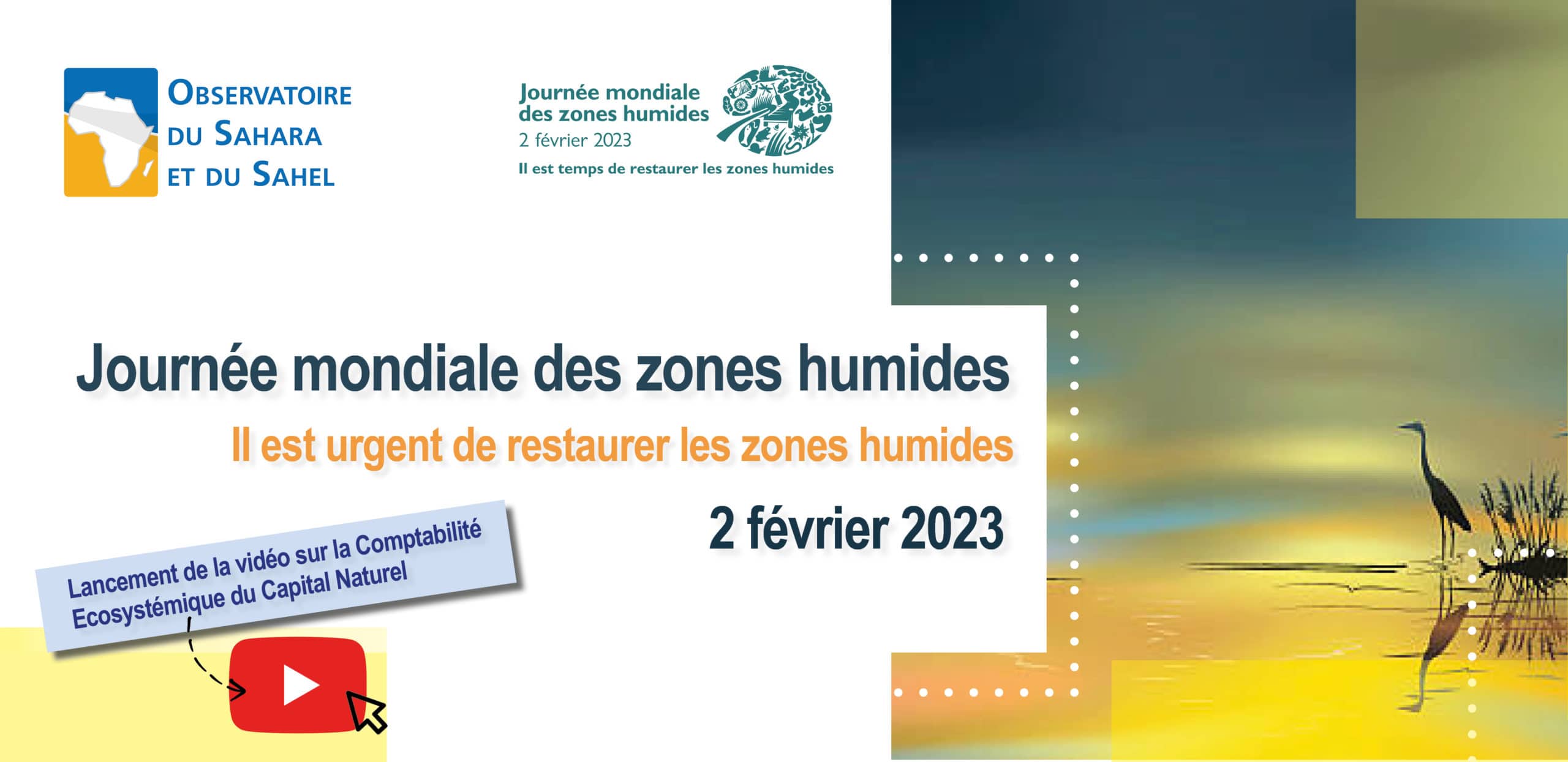 Journée mondiale des zones humides : « il est urgent de restaurer les ...